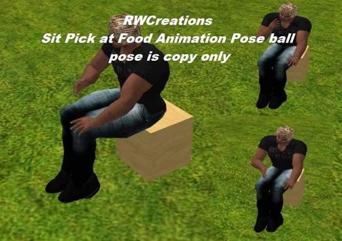 Second Life Marketplace - Sit Eat Pick at Food Animation Pose Ball ...