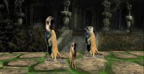 Second Life Marketplace - meerkat with moving head