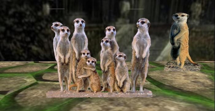 Second Life Marketplace - Meerkat family group transfer mod