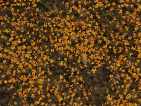 Second Life Marketplace - Autumn Leaf Cover (One of our many catalogue ...