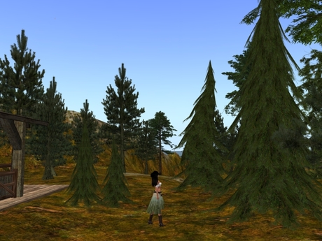 Second Life Marketplace - *4 Pine Trees*