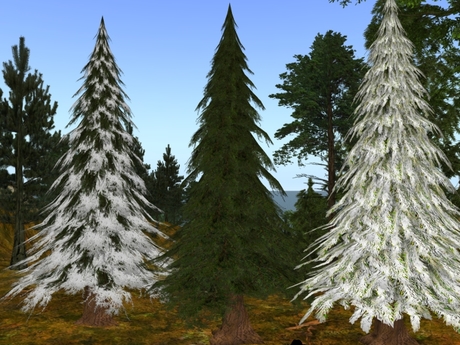 Second Life Marketplace - Pine Trees