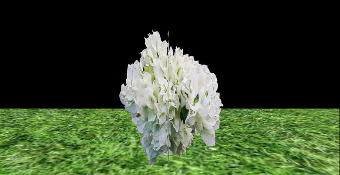 Second Life Marketplace - White flower bush texture full perms alpha