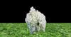 Second Life Marketplace - White flower bush texture full perms alpha