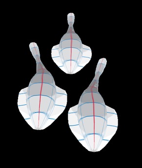 Second Life Marketplace - Aquarium Fish Set #3 Plecostomas Fish Sculpty ...