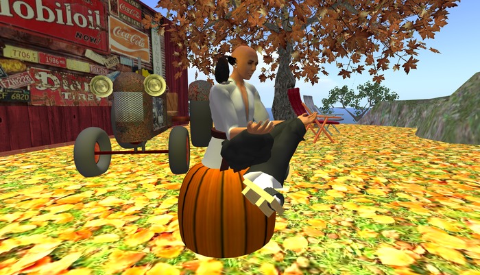 Second Life Marketplace - Wingsong Meditation Pumpkin Box