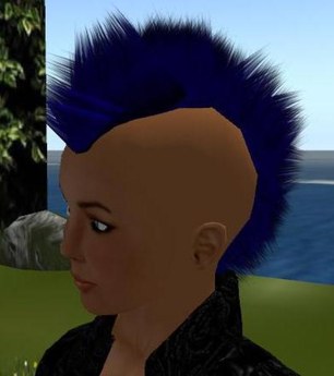 Second Life Marketplace - PUNK