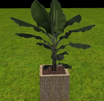 Second Life Marketplace - L&B Banana Plant