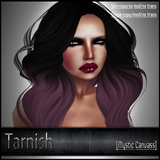 Second Life Marketplace - [MC] Tarnish Skins And Bonus Shape Boxed