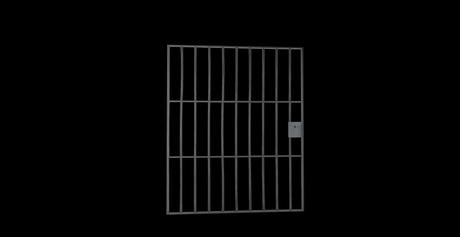 Second Life Marketplace - Cell door full perms texture