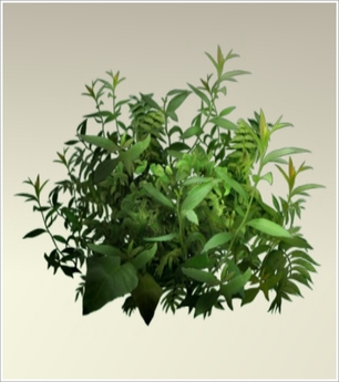 Second Life Marketplace - ::::**Plant-Bush-5**:::: "Garden" -LE-