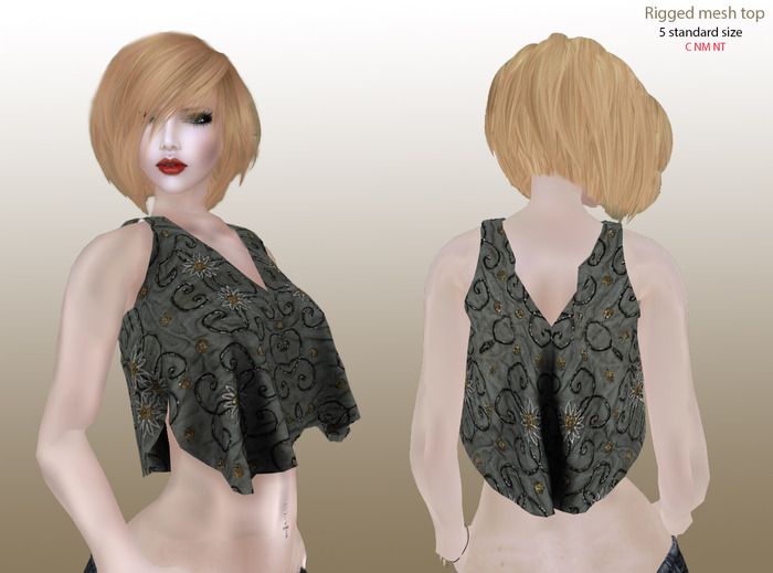 Second Life Marketplace - :SIAM:Demo Rigged mesh top