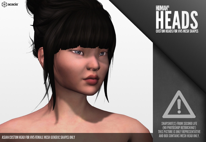 Second Life Marketplace - Horo - HV5 : Asian Head (Female)