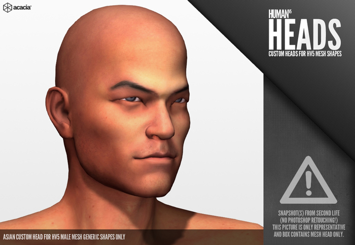 Second Life Marketplace - Horo - HV5 : Asian Head (Male)