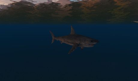 Second Life Marketplace - Moving Mesh Shark
