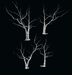 Second Life Marketplace - MESH Winter River Birch Trees