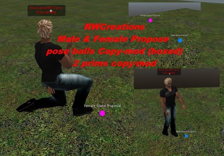 Second Life Marketplace - Menu Couple Propose (boxed) proposal