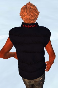Second Life Marketplace - RASCAL down vest navy