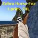 Second Life Marketplace - Zebra Fez for BC/WH Horse Avatars
