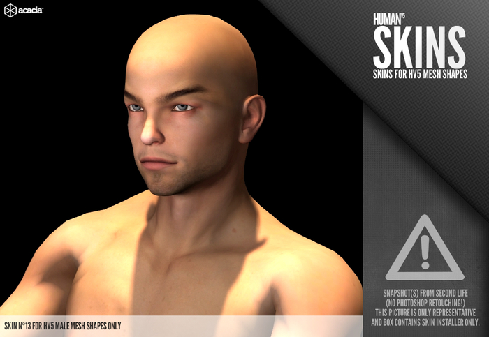 Second Life Marketplace - Horo - HV5 : Skin 13 (Male) (HUD - Skin ...