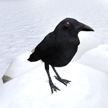 Second Life Marketplace - Raven on the Rocks - garden/snow/beak/wing ...