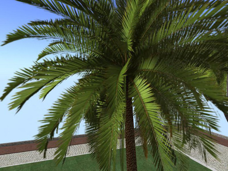 Second Life Marketplace - Plot Divider 12m Double Palm Tree With Shrubs