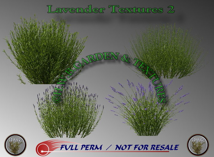 Second Life Marketplace - Lavender Textures 2