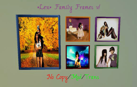 Second Life Marketplace - *Lex* Family Frames v1 - Color