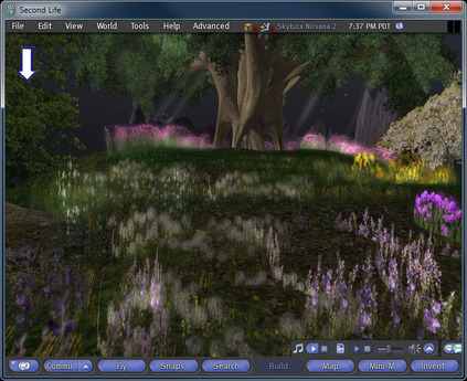 Second Life Marketplace - First Person Perspective
