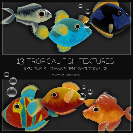 Second Life Marketplace - TRU Textures - 13 High Resolution Tropical ...