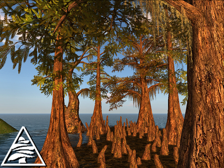 Second Life Marketplace - Swamp Cypresses (7pcs) with roots + mossy ...