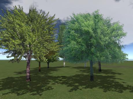 Second Life Marketplace - Summer Oak Tree 3 - version 2.0