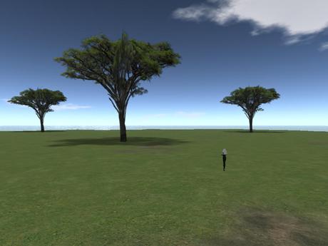 Second Life Marketplace - African Acacia Tree