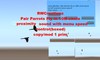 Second Life Marketplace - Pair of African Parrots Fly in 10M circle ...