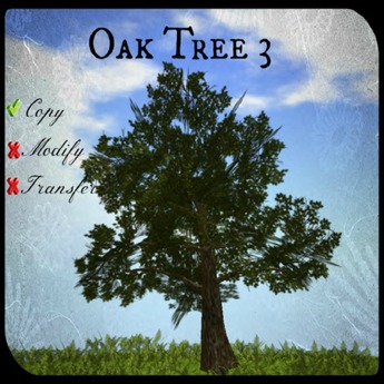 Second Life Marketplace - Oak Tree 3~[2 Prim]