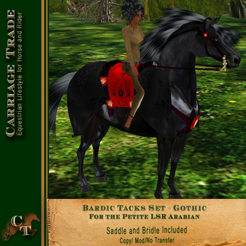Second Life Marketplace - @CTM@ Bardic Tack Set (Lone Star Ranch ...