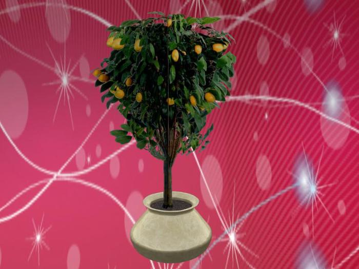 Second Life Marketplace - Lemon(p)
