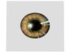 Second Life Marketplace - Natural Yellow Eyes
