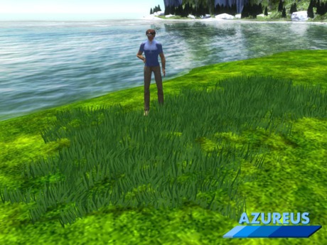 Second Life Marketplace - {Azureus} Half Prim Grass