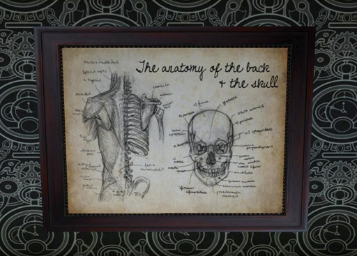 Second Life Marketplace - ANATOMY PLATE: Back and the skull
