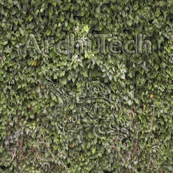Second Life Marketplace - Ivy Hedge: Commercial Use (An original ...