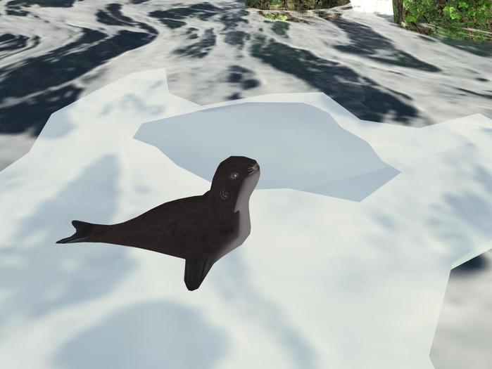 Second Life Marketplace - seals foca MESH and iceberg (3D)