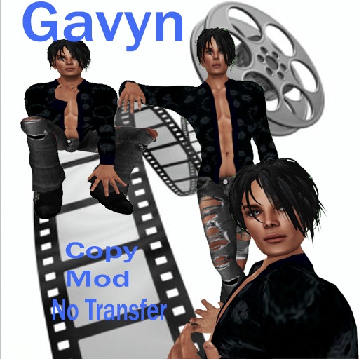 Second Life Marketplace - Gavyn Demo