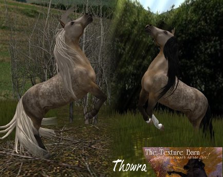 Second Life Marketplace - BC - Thowra - Dapple Grey Buckskin Texture Pack