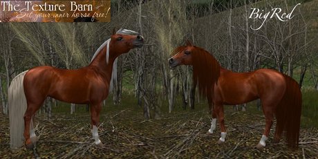 Second Life Marketplace - BC - Big Red - Red Sorrel Chestnut Texture Pack