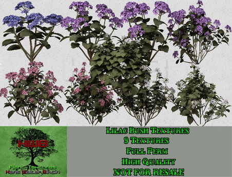 Second Life Marketplace - Lilac Bush Textures