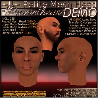 Second Life Marketplace - ~JJ~ Petite Male Head ~Prometheus~ DEMO