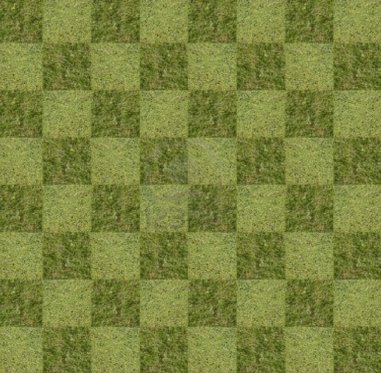 Second Life Marketplace - Wonderland Checkered Grass 2 Terrain Texture ...