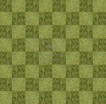 Second Life Marketplace - Wonderland Checkered Grass 2 Terrain Texture ...