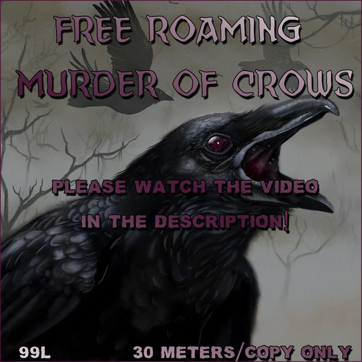 Second Life Marketplace - Souled Out Free Roaming Murder of Crows 30 meters